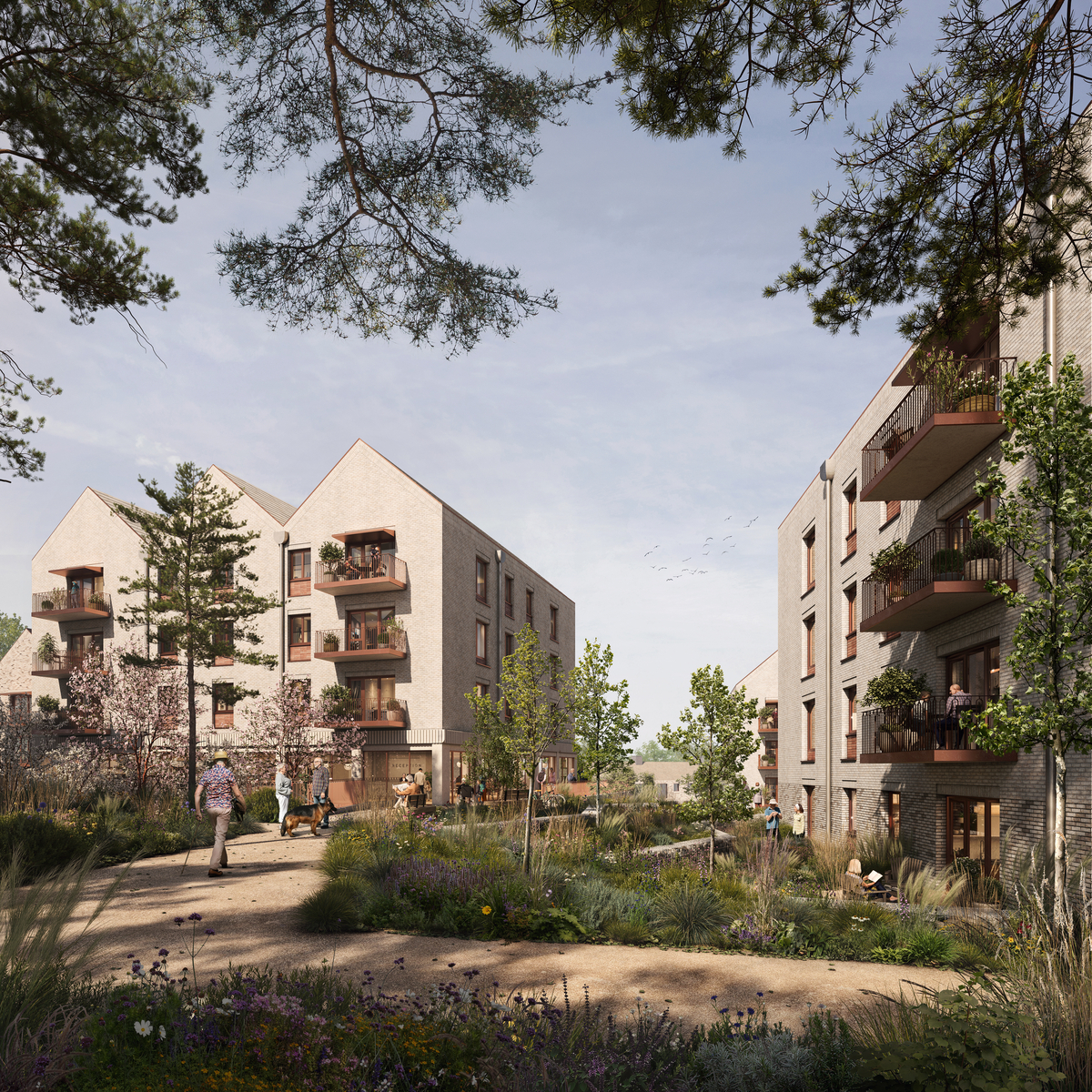 Flagship Thrive Living community coming to Chigwell | Thrive Living